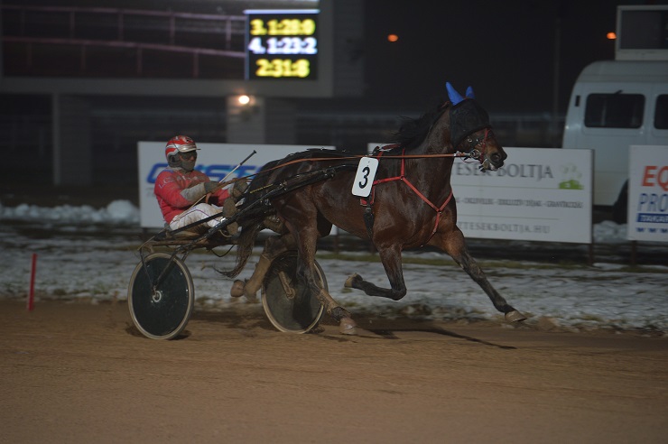 Alfa Boy hozta a kötelezőt – Kincsem Park