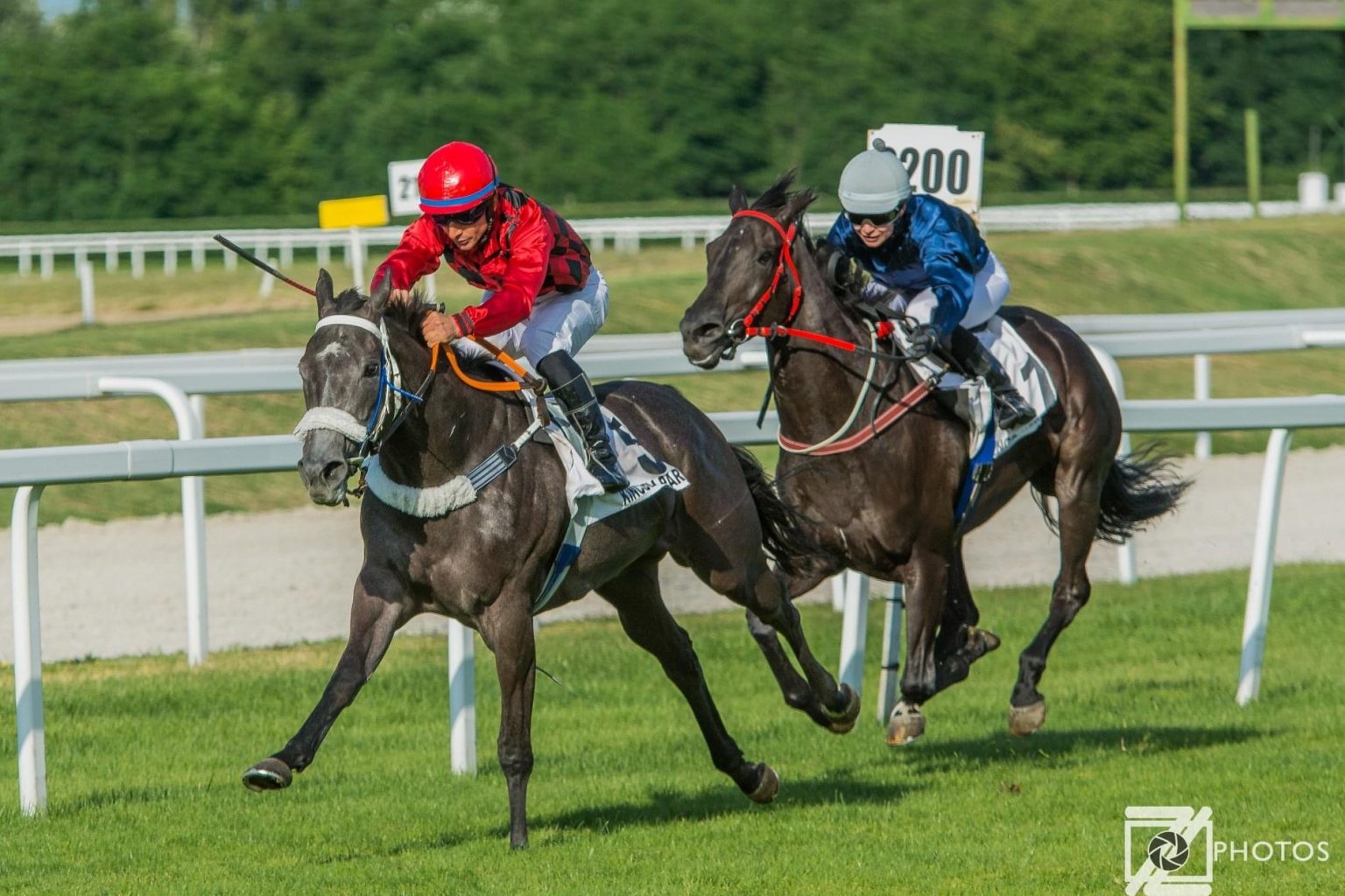 Városbíró Díj értékelése – Vain Hope – Kincsem Park