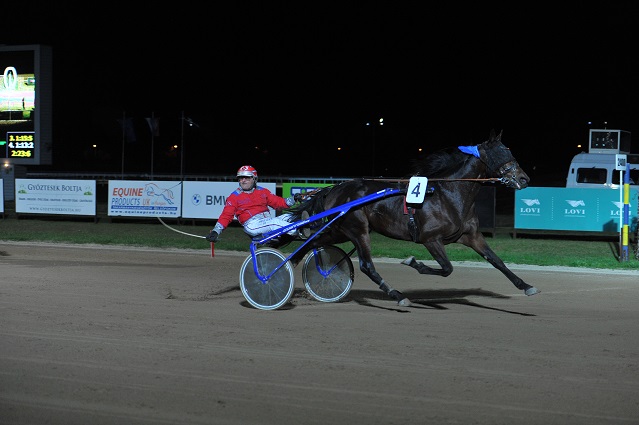 Alfa Boy tovább menetel – Kincsem Park