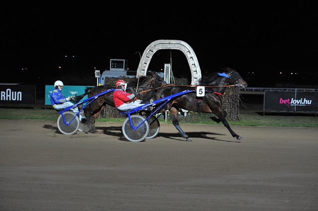 Alfa Boy a nap hőse – Kincsem Park