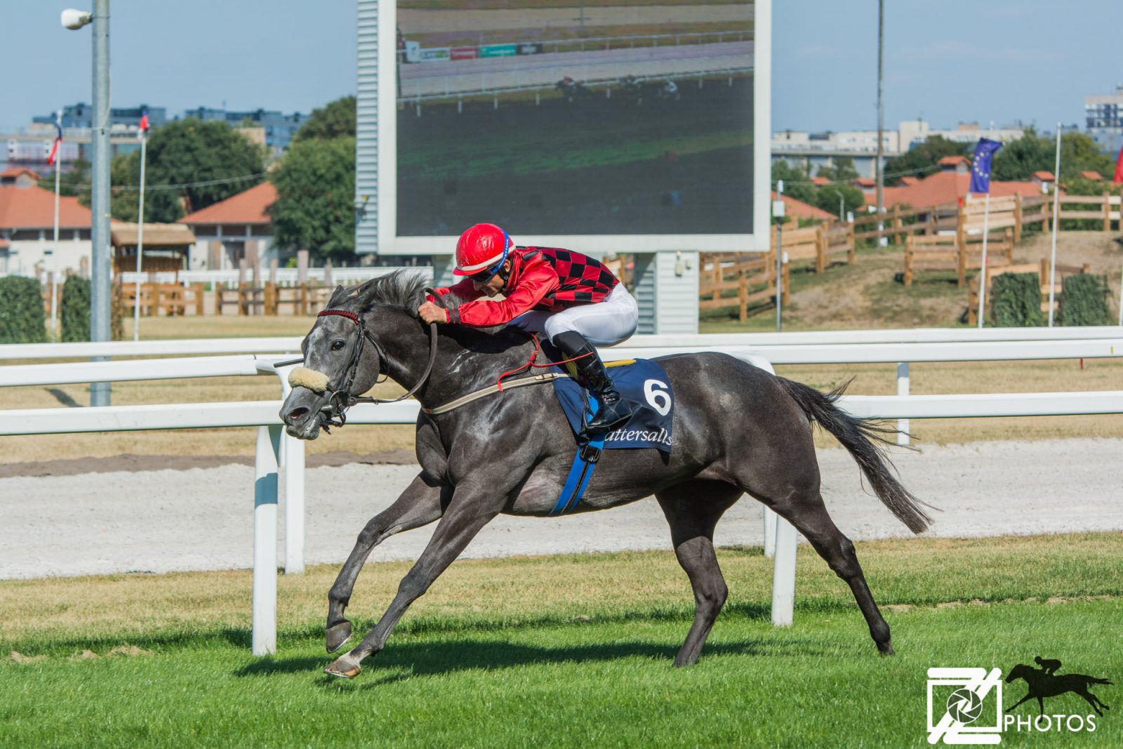 Vain Hope a 2021-es Nemzeti Galopp liga győztese – Kincsem Park