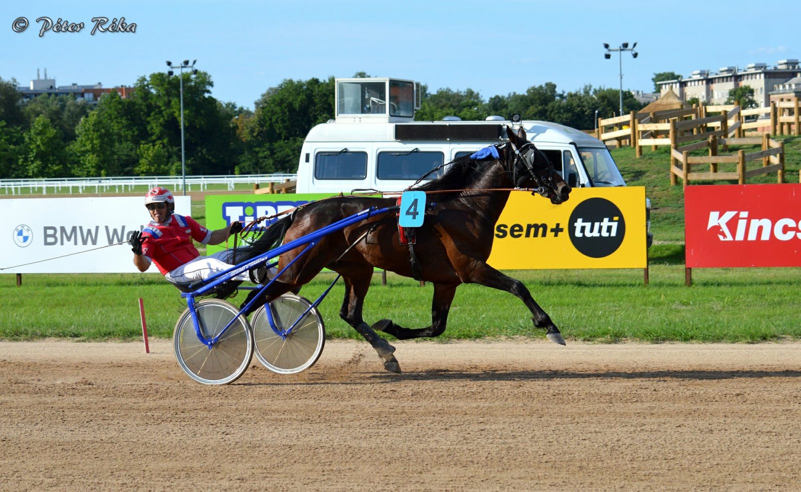 Ki lesz az Év Ügetőlova 2021-ben? – Kincsem Park