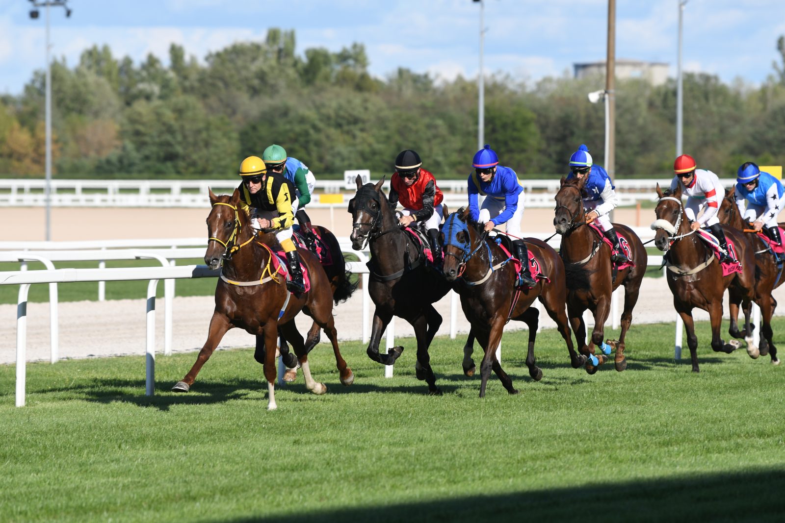 Generálhendikep – Kincsem Park