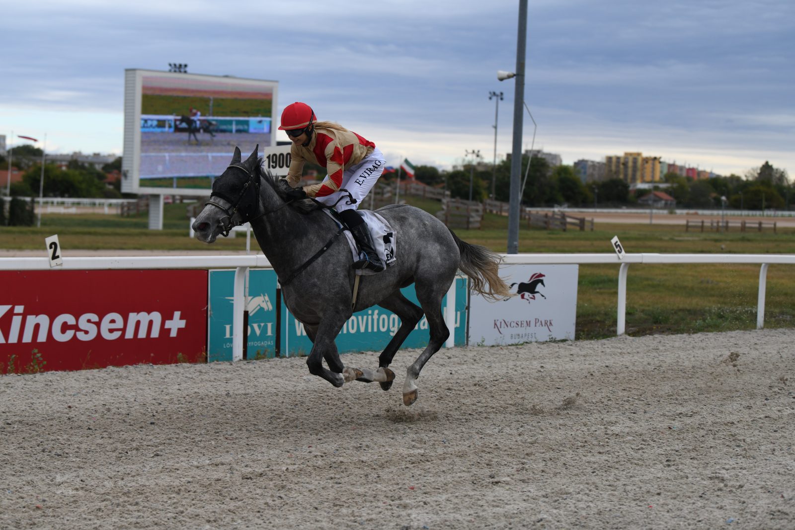 May Grey Dancer-nek Pisaban jöhet a ráadás – Kincsem Park