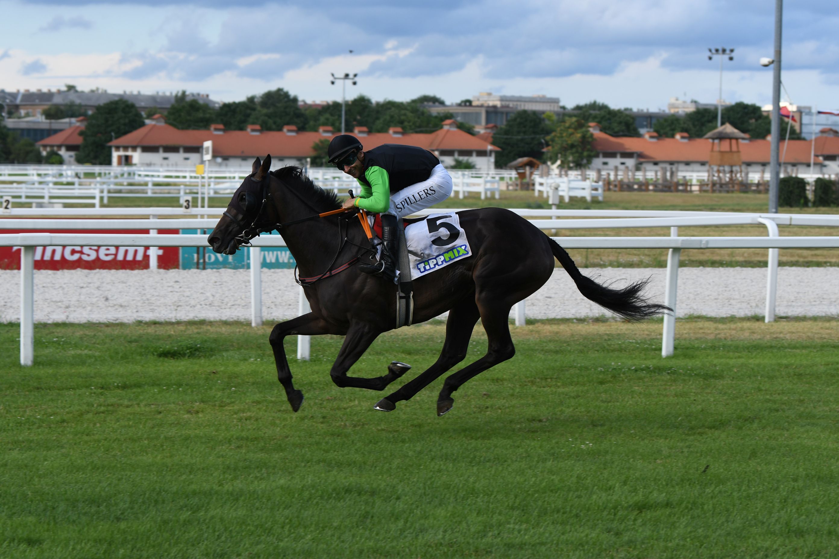 A Magyar Kancadíj – Kincsem Park