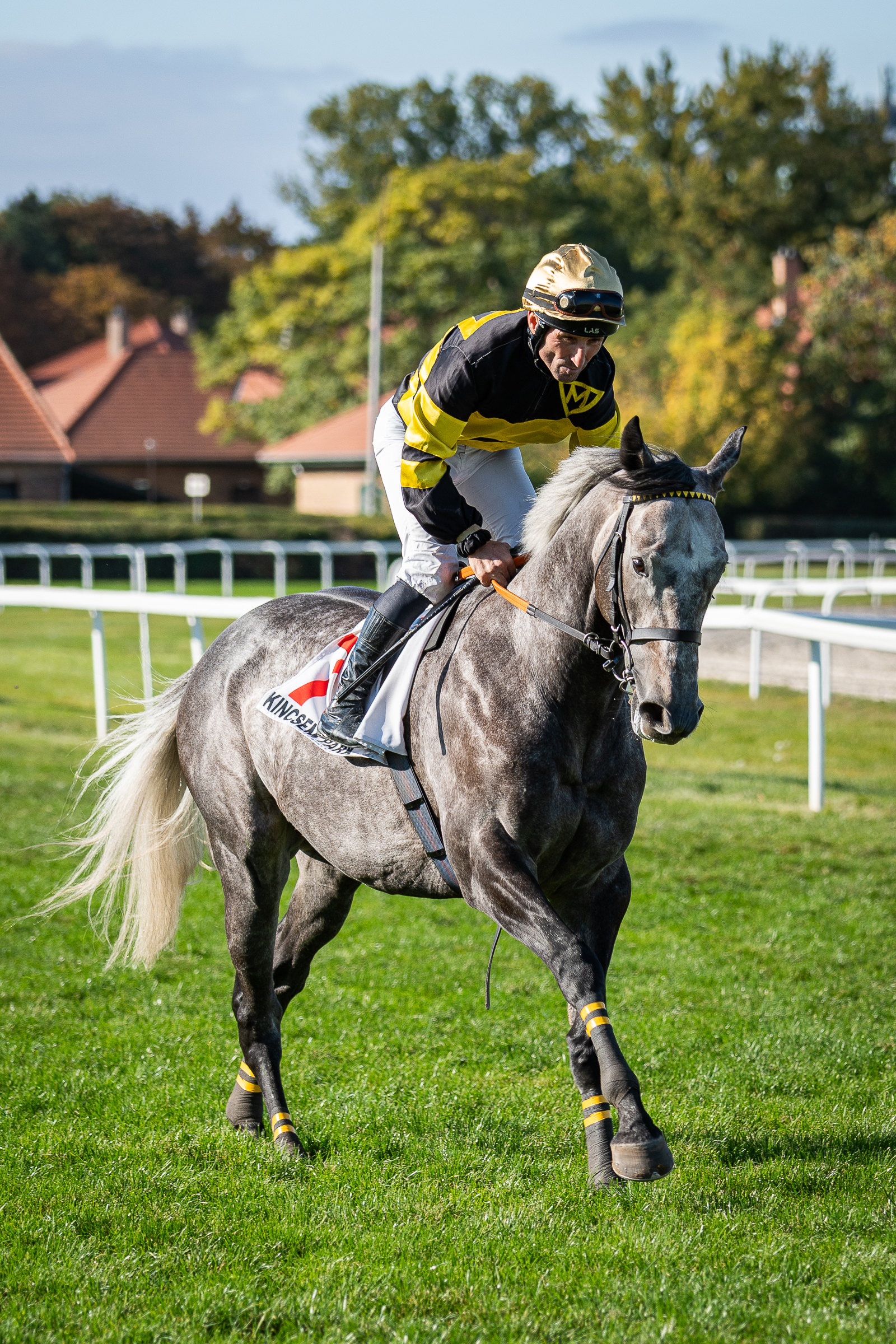 Marseille-ben a Molett Bloodstock lovai – Kincsem Park